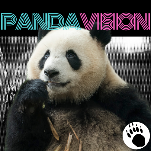 Pandavision — Stranded Panda