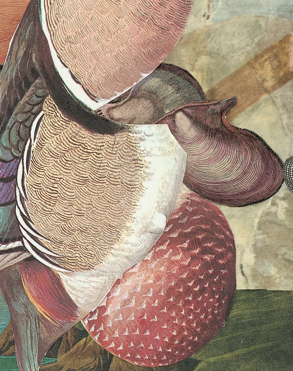 Atticus Finch — Alchemy Papers