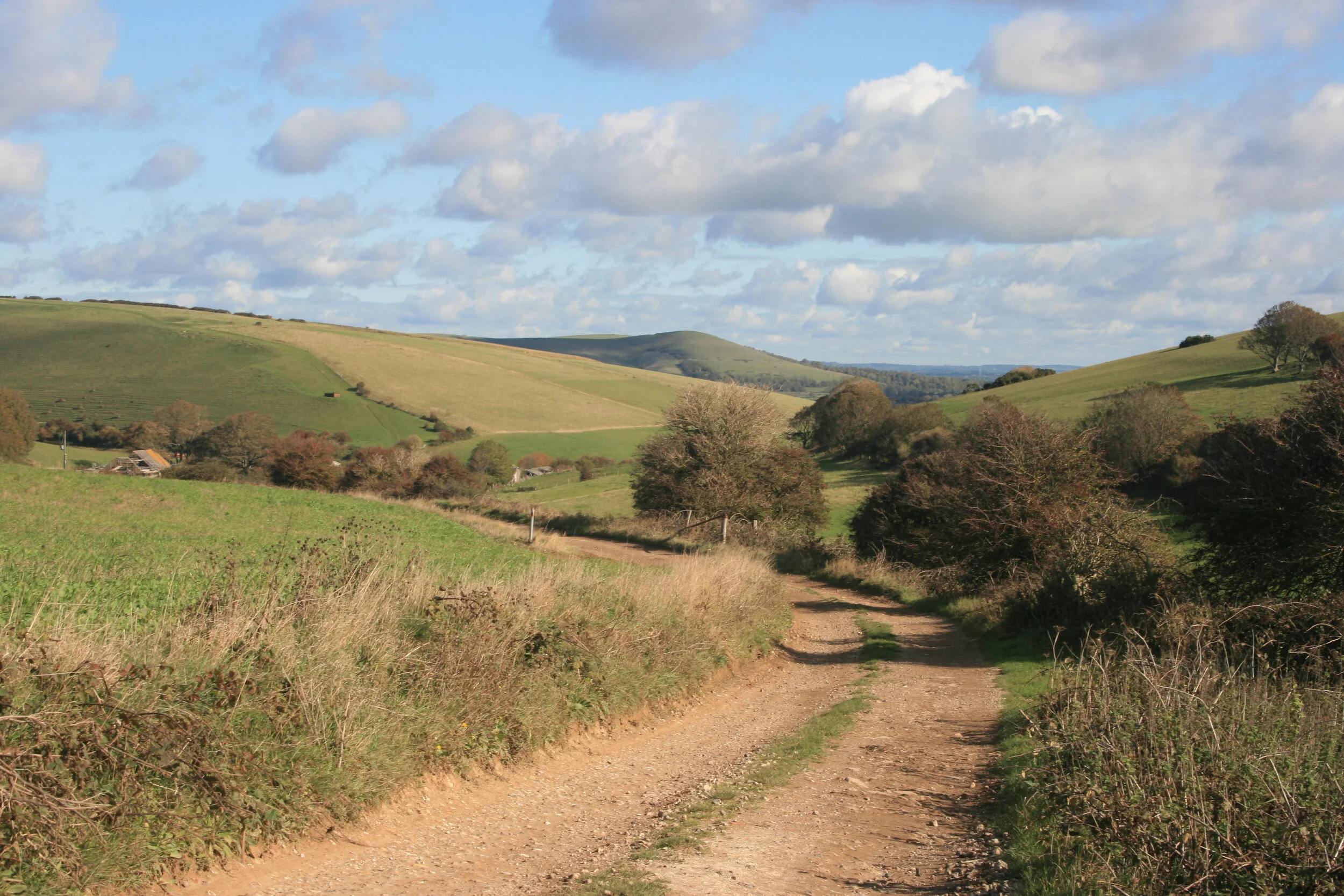 Beau and Bell Camping Details — South Farm Rodmell