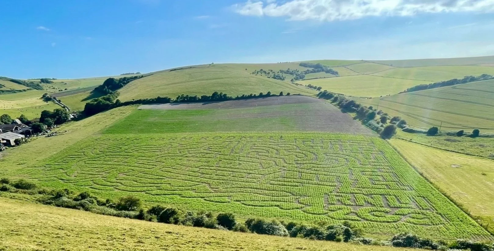 Maize Maze — South Farm Rodmell