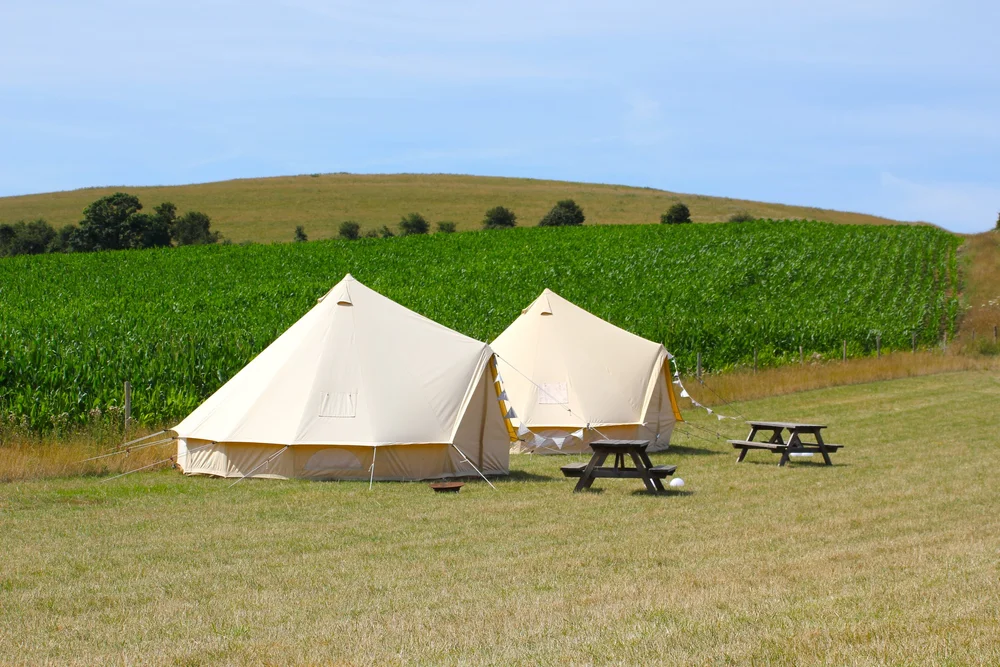 Beau and Bell camping at South Farm Rodmell, near Lewes, East Sussex ...