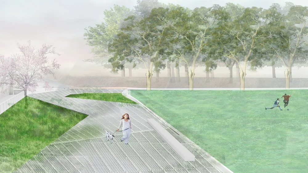 Services — Linearscape