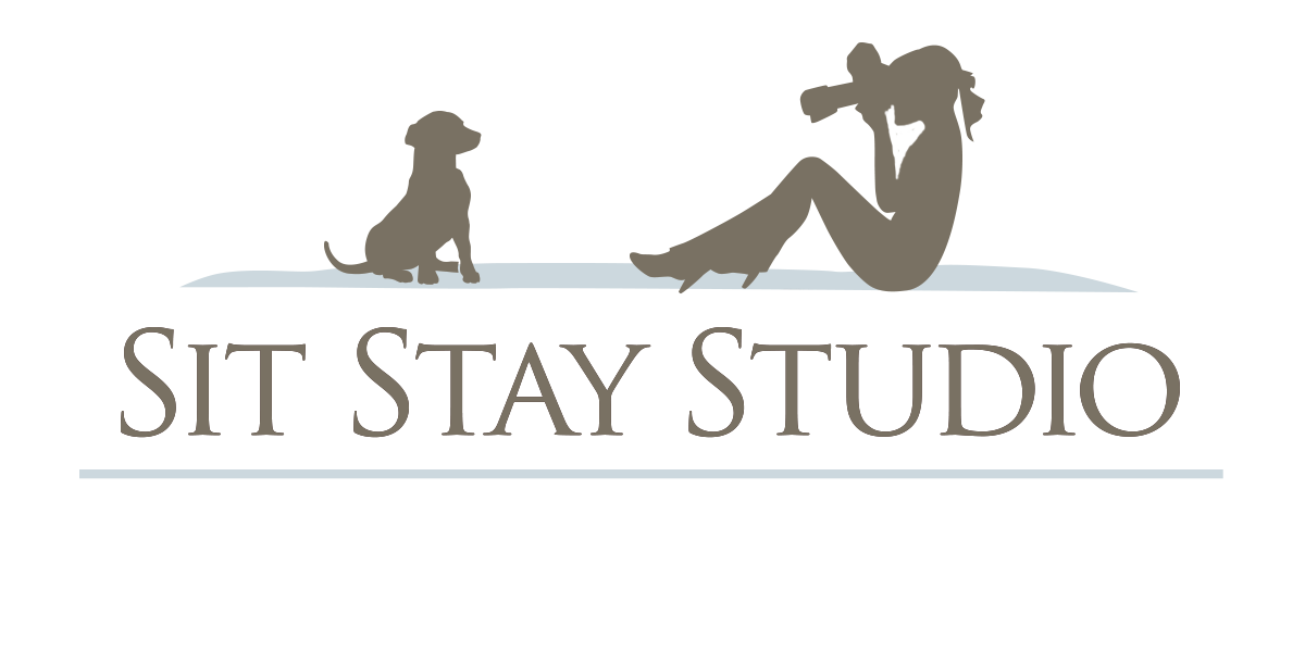 Sit Stay Studio