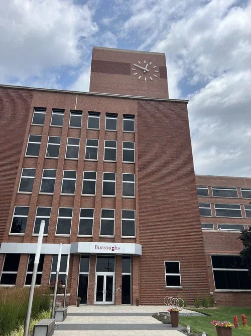 SOLID GROUND COUNSELING