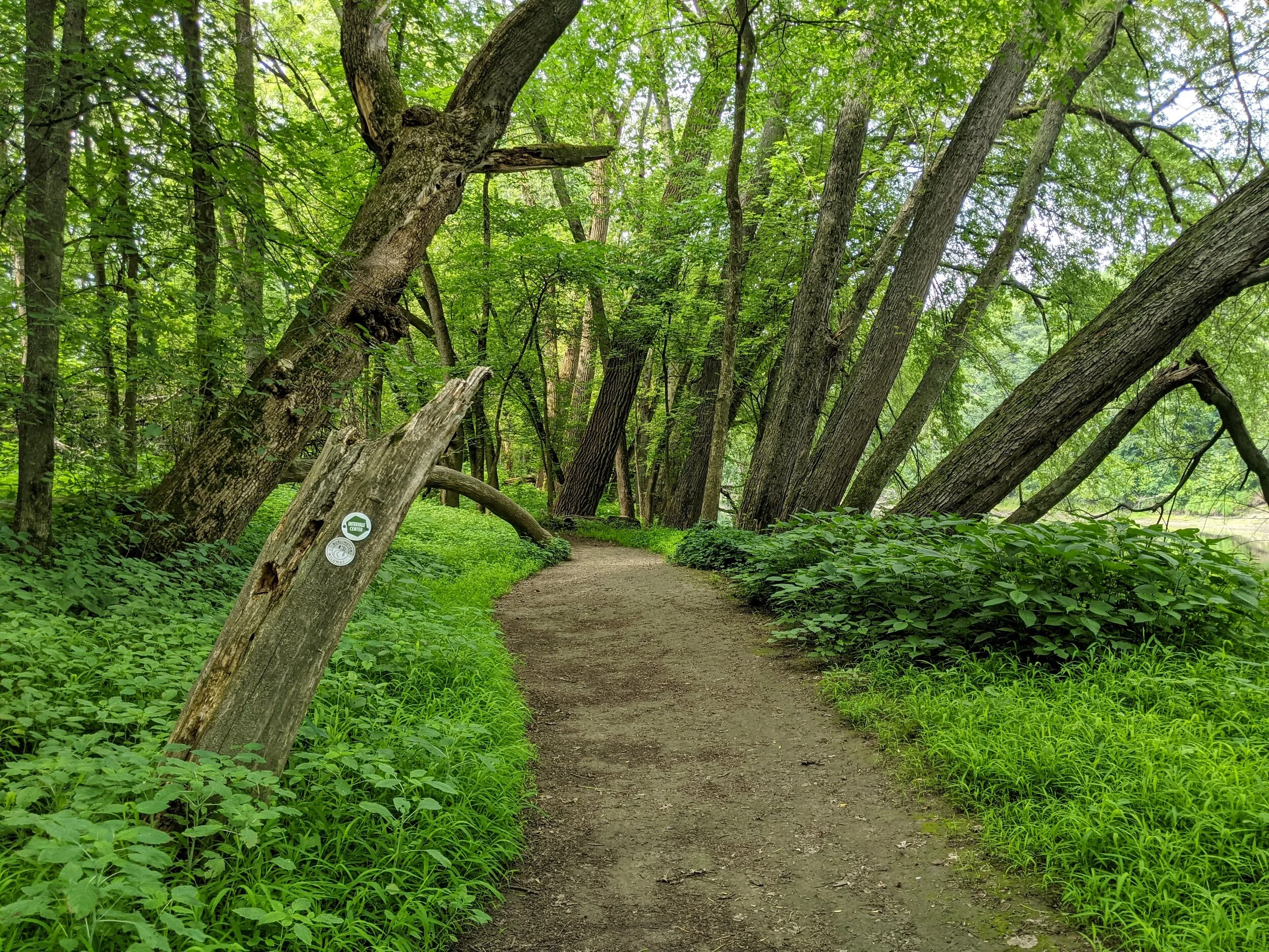 Perfect Trail Runs in Chittenden County: Exploring Burlington's Trail ...