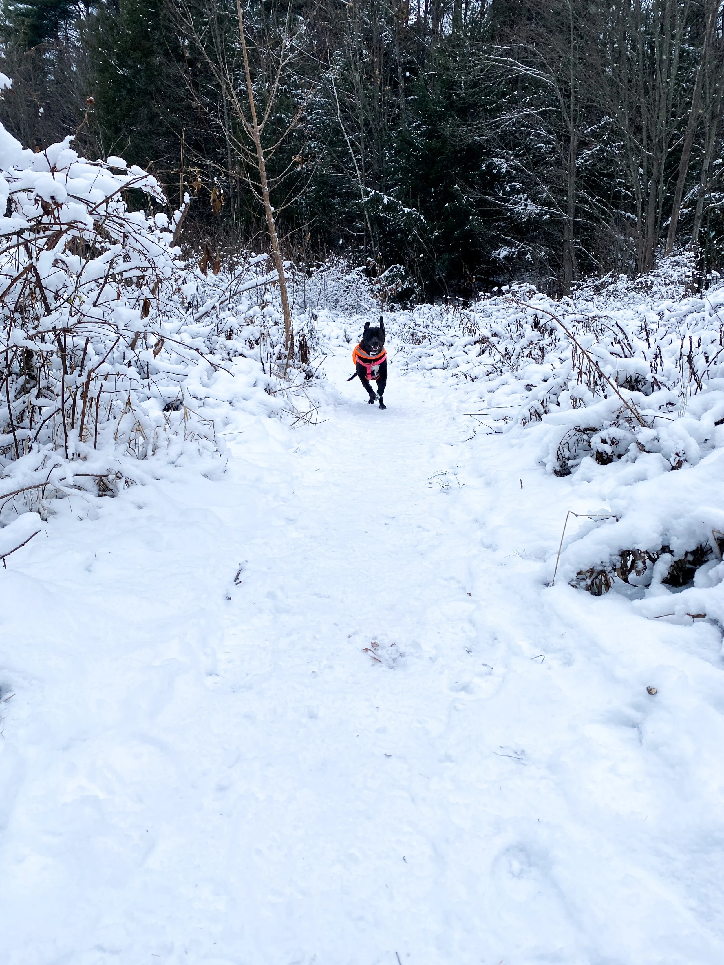 Visit Burlington Vermont