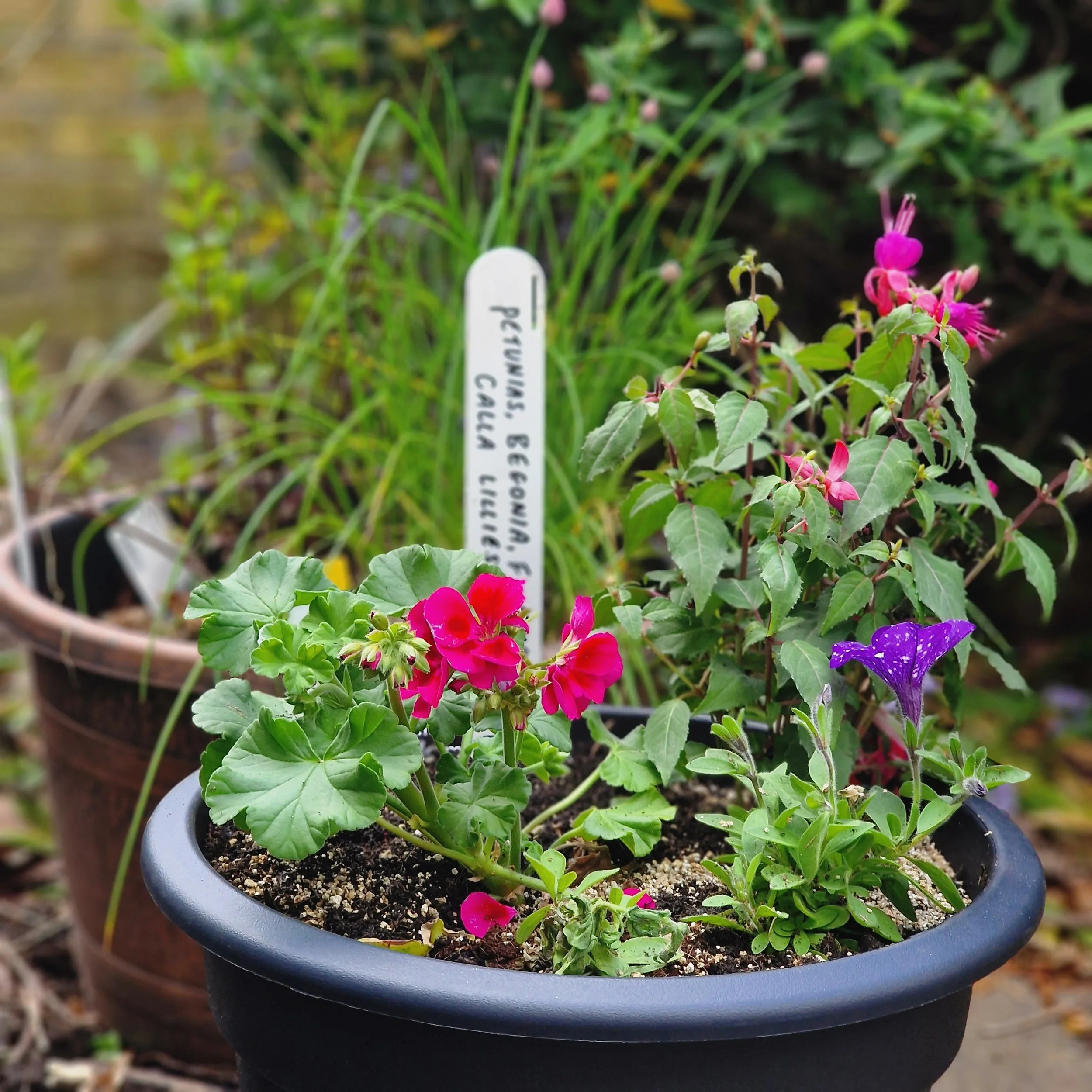 Sheffield dementia support. Nature based sessions for people who love ...