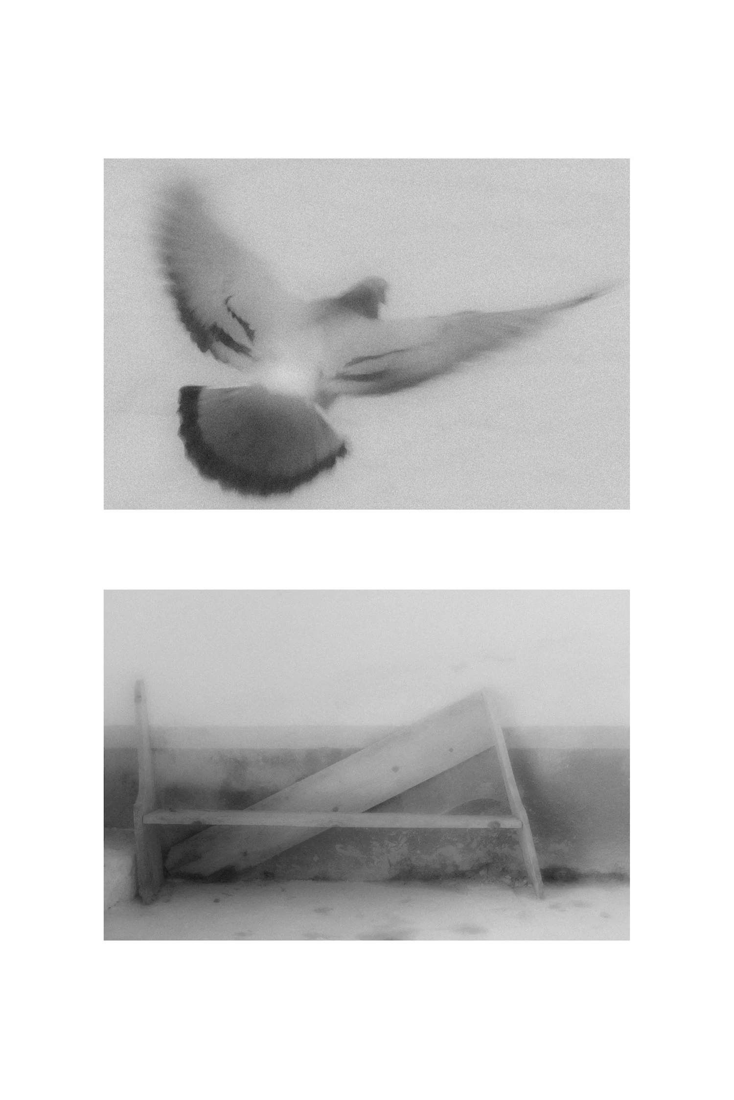 Anna Guseva - Absentia/presentia — OUTLAST JOURNAL