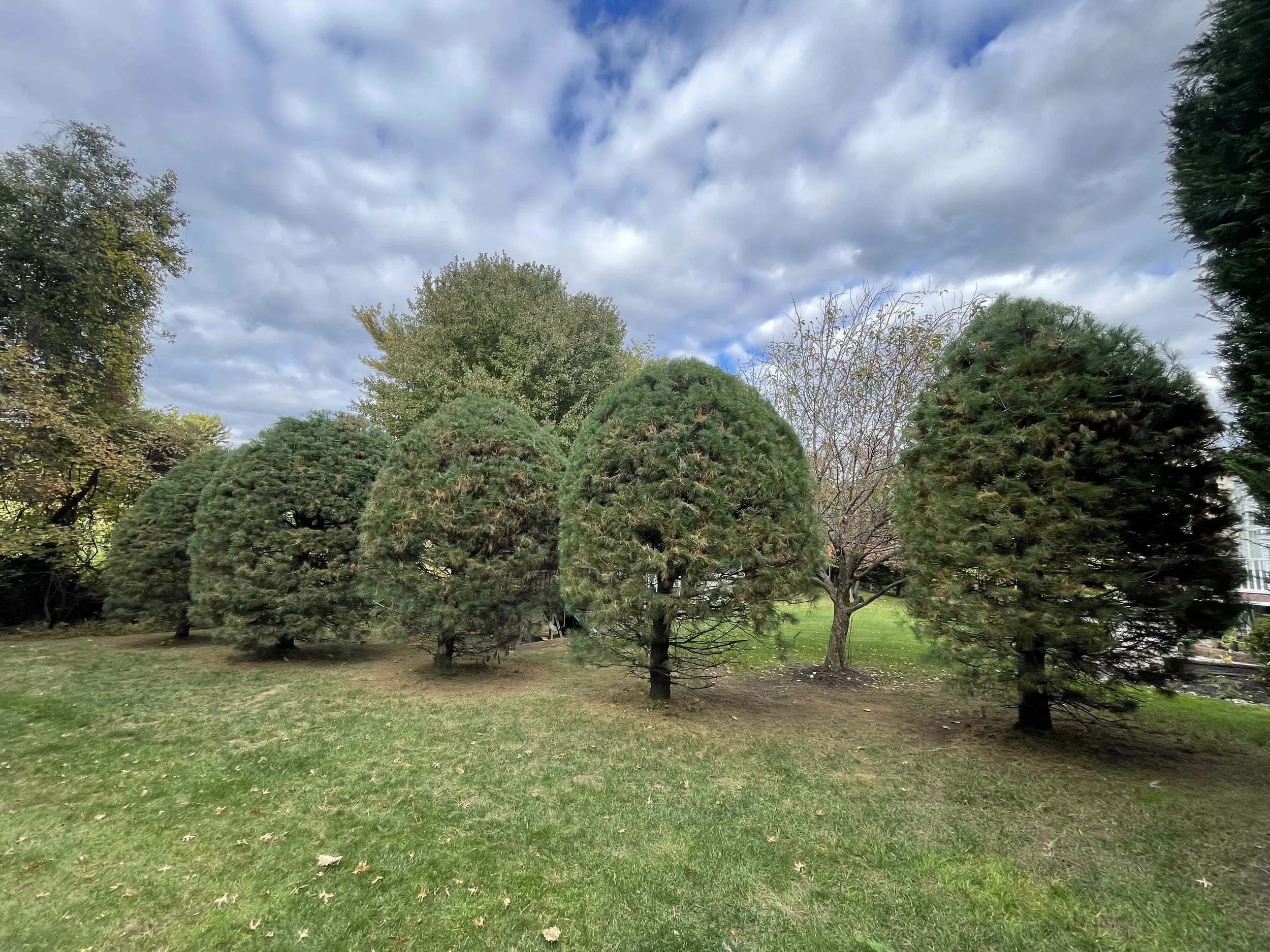 Services — Estrada Landscaping Services Inc.