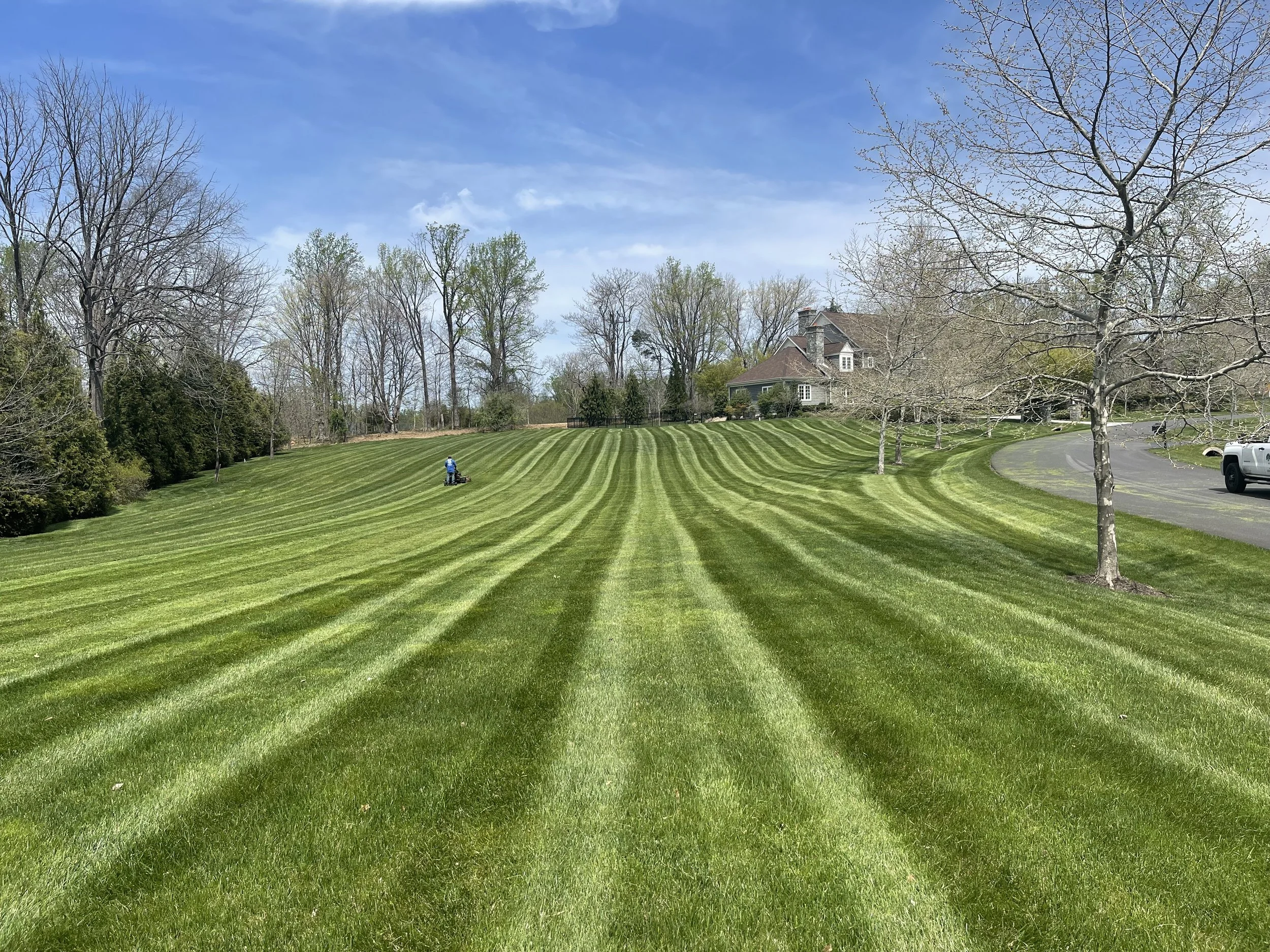 Services — Estrada Landscaping Services Inc.