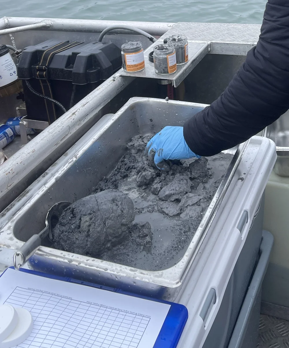 Professional sediment surveys for marine and freshwater environments ...