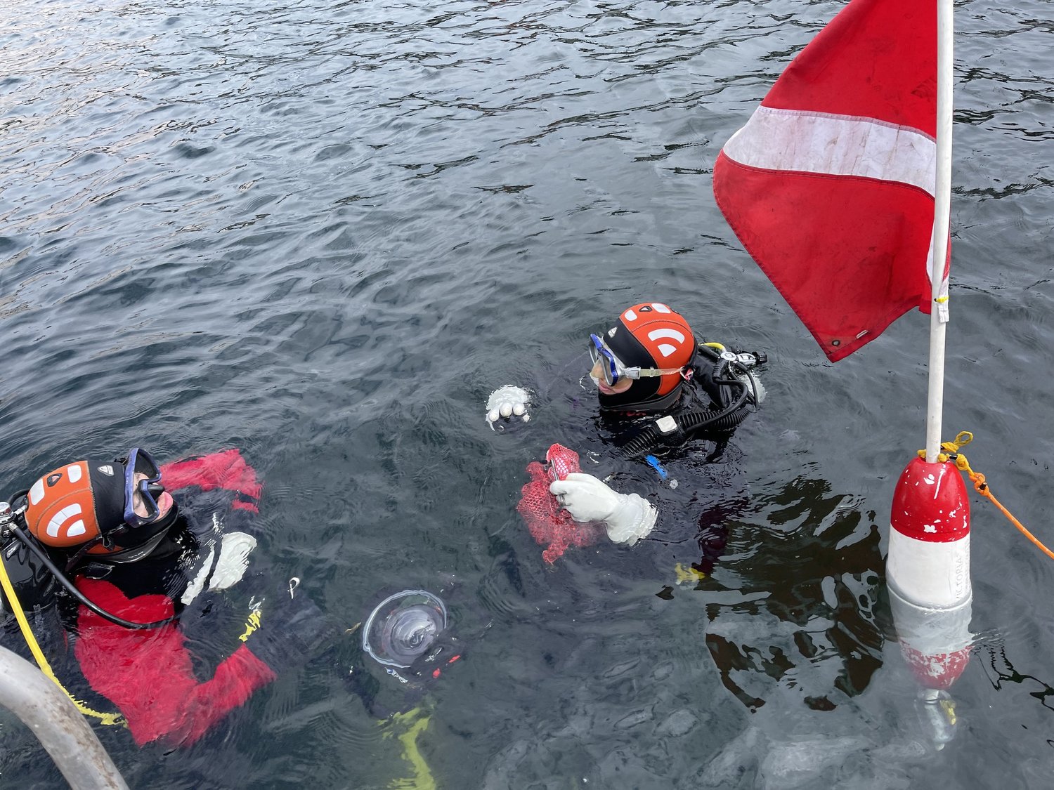 Careers | Advance Your Marine Career—Join Us Now — DYNAMIC OCEAN ...