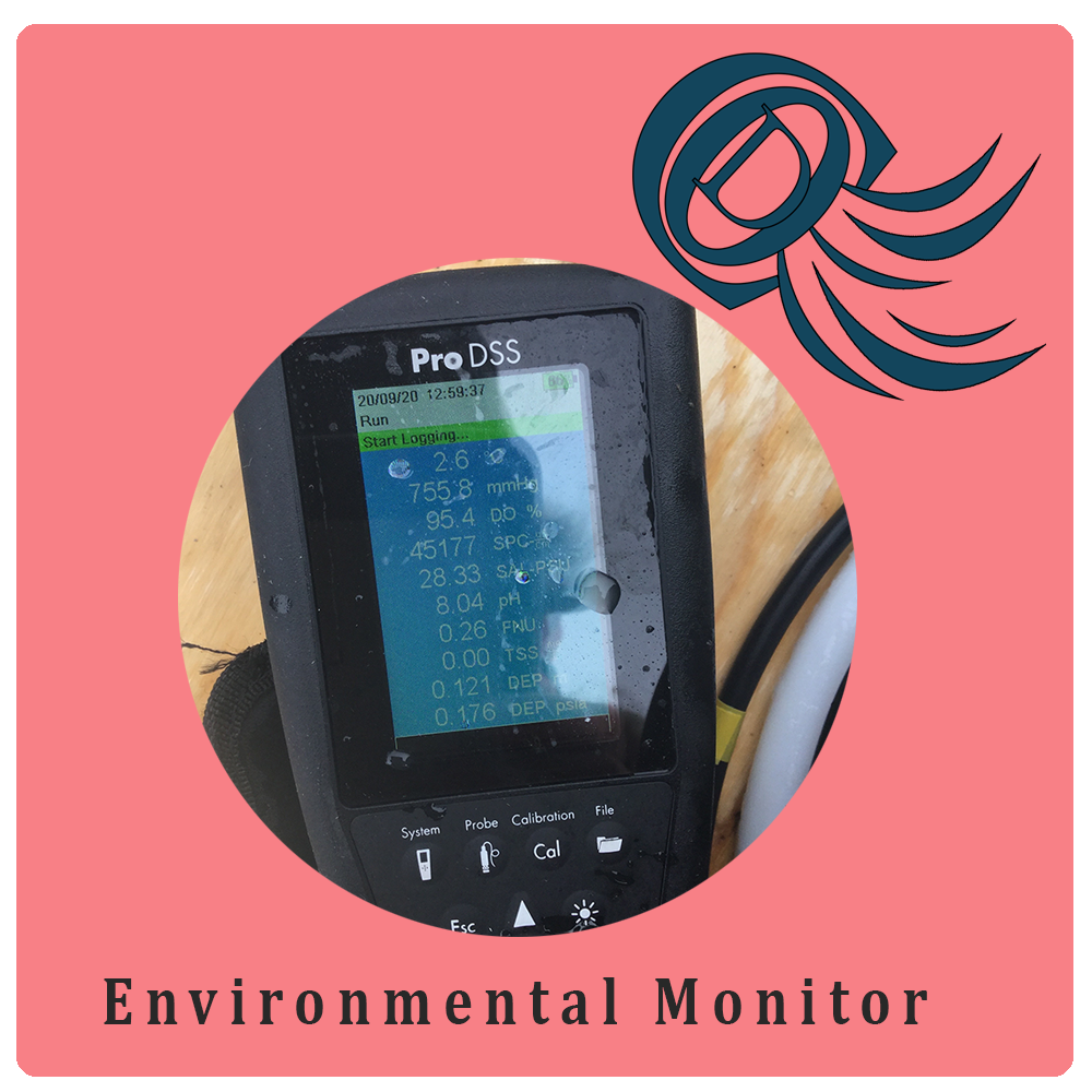 Environmental Compliance Monitoring — DYNAMIC OCEAN CONSULTING LTD.