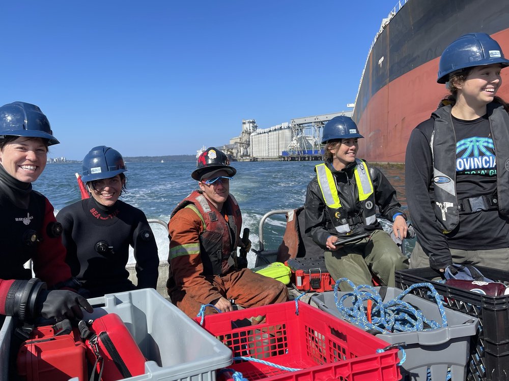 Careers | Advance Your Marine Career—Join Us Now — DYNAMIC OCEAN ...