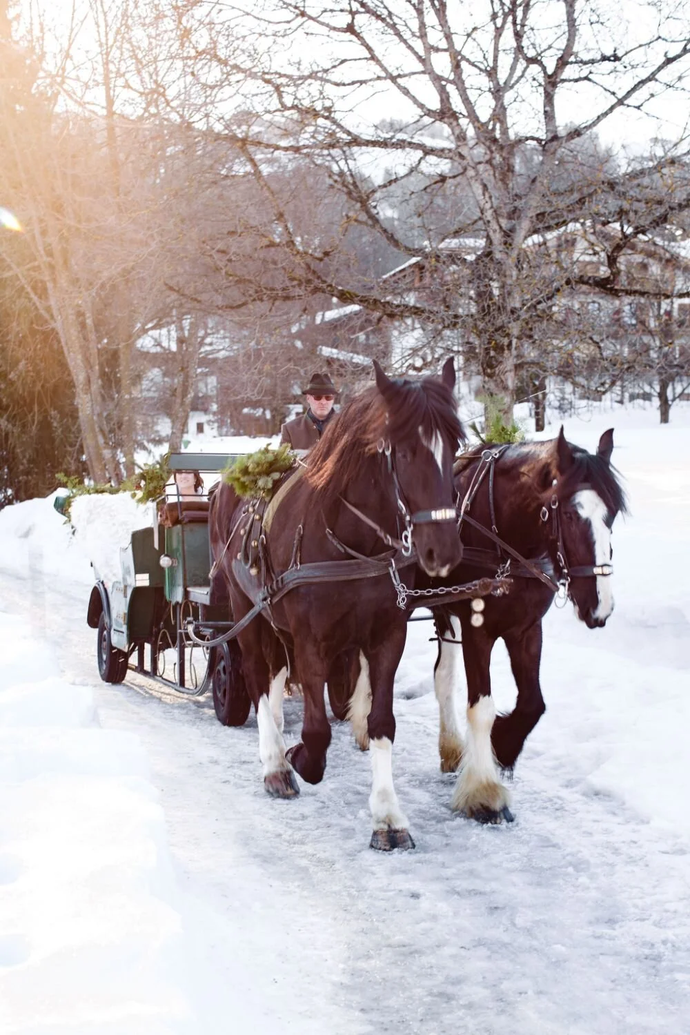 Winter Wedding Horse Carriage