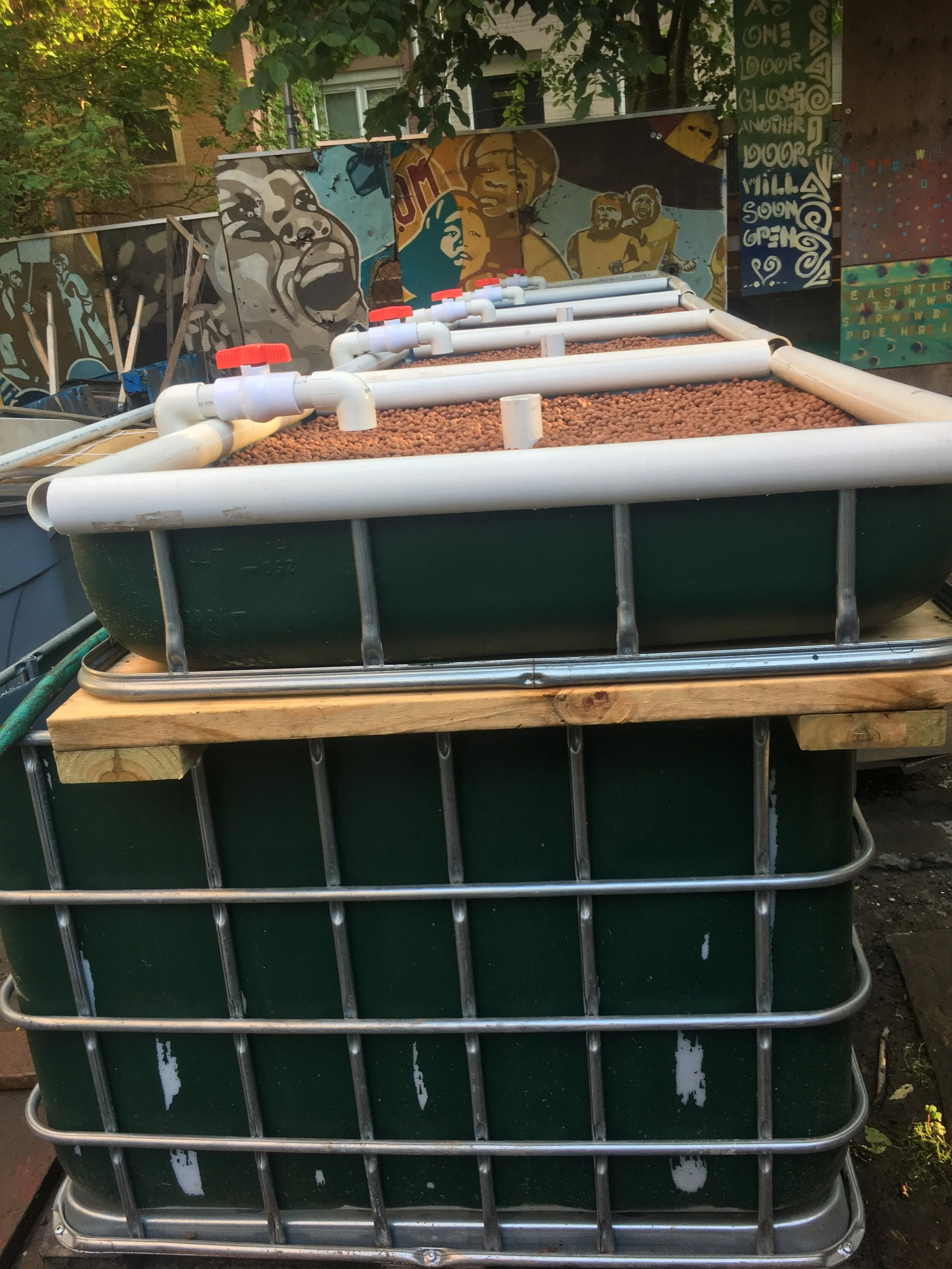 Design + Build — Oko Farms