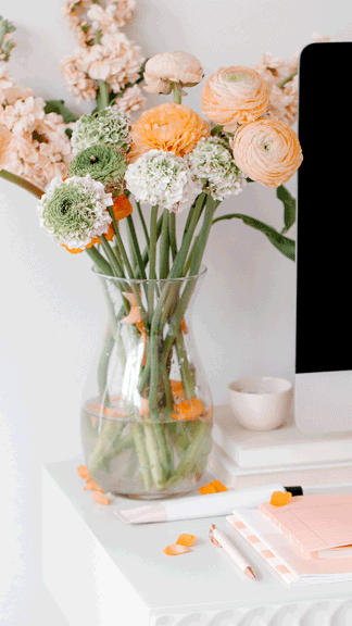 How to create an animated .gif for your Instagram feed using Photoshop ...