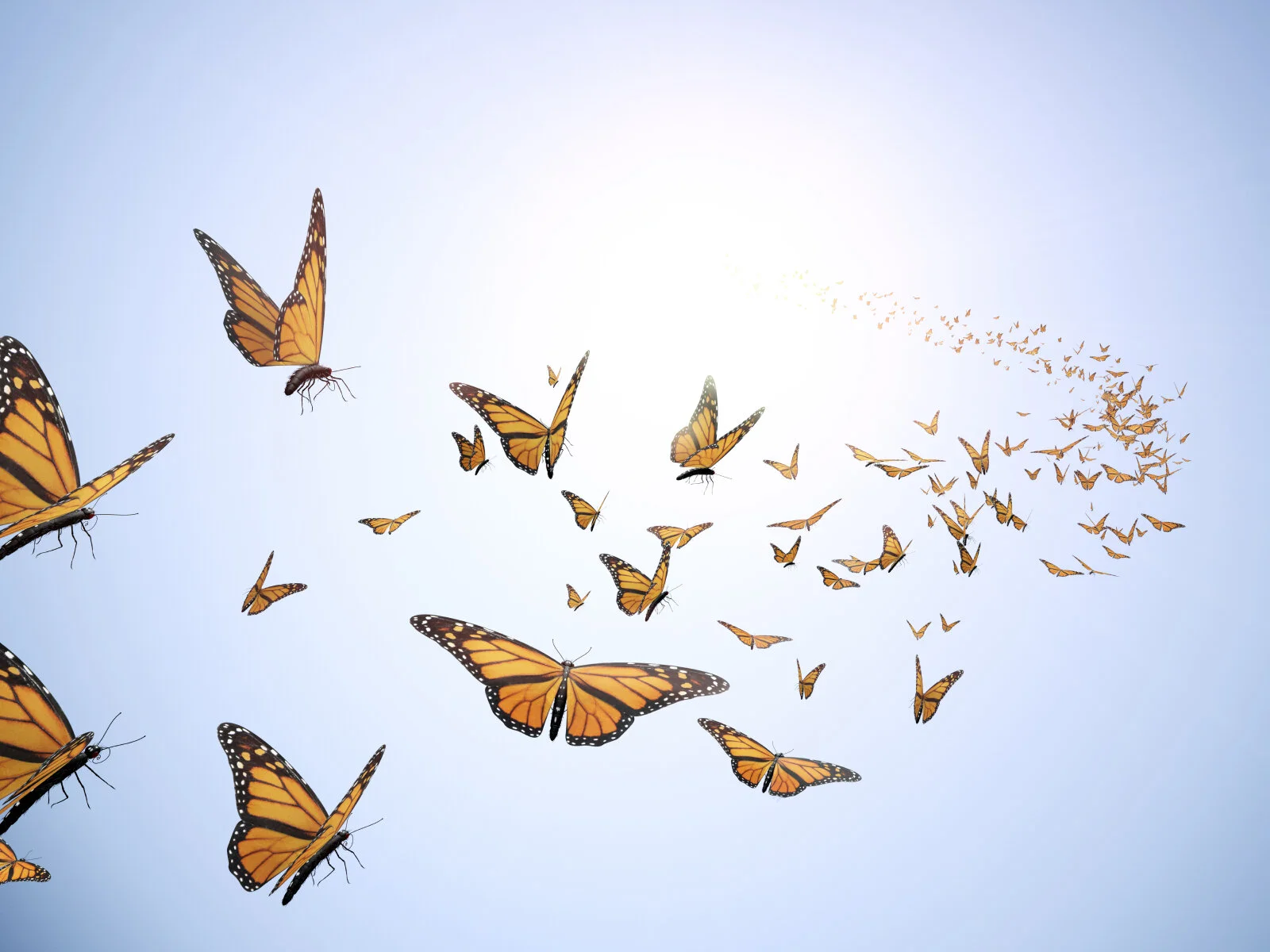 Beautiful Beginnings Residential Care, LLC