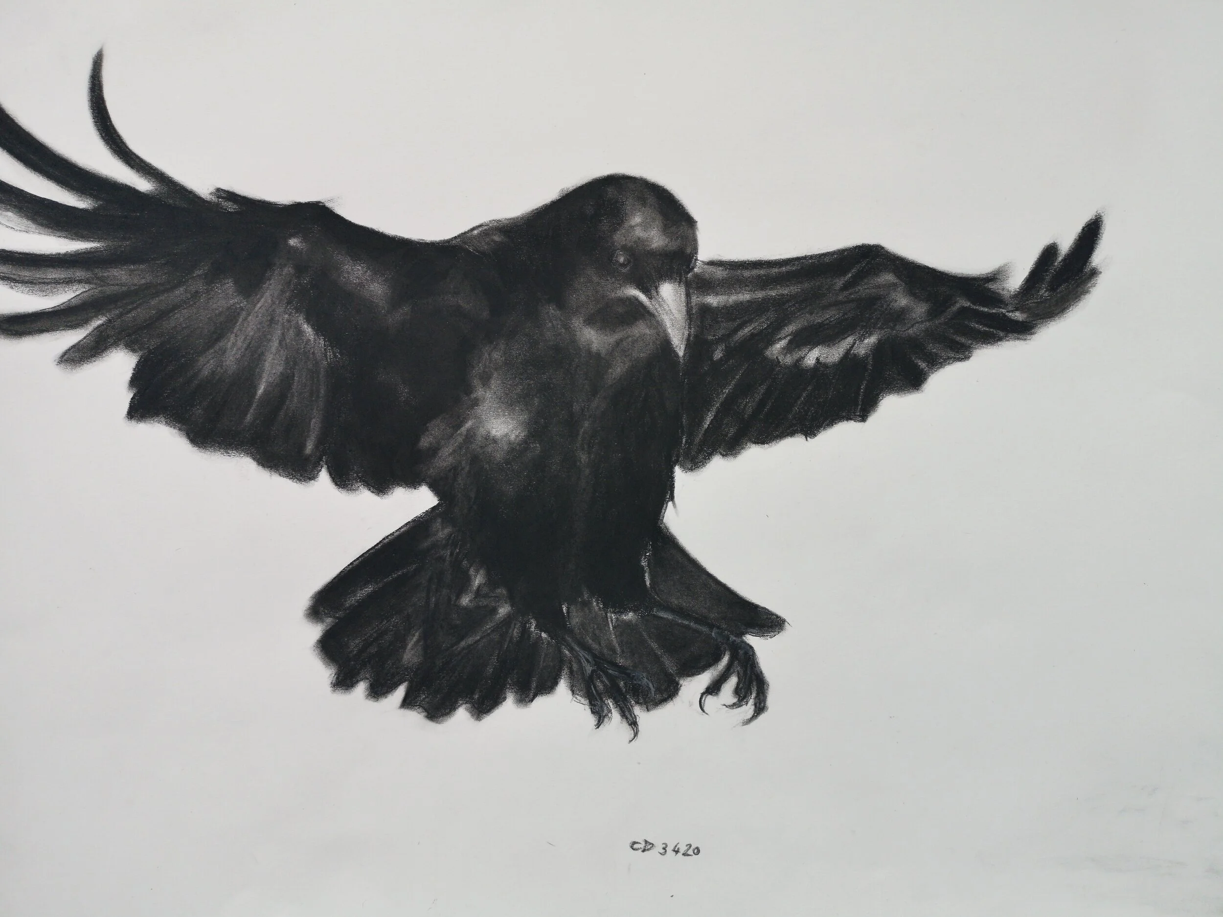Charlotte Durie Art