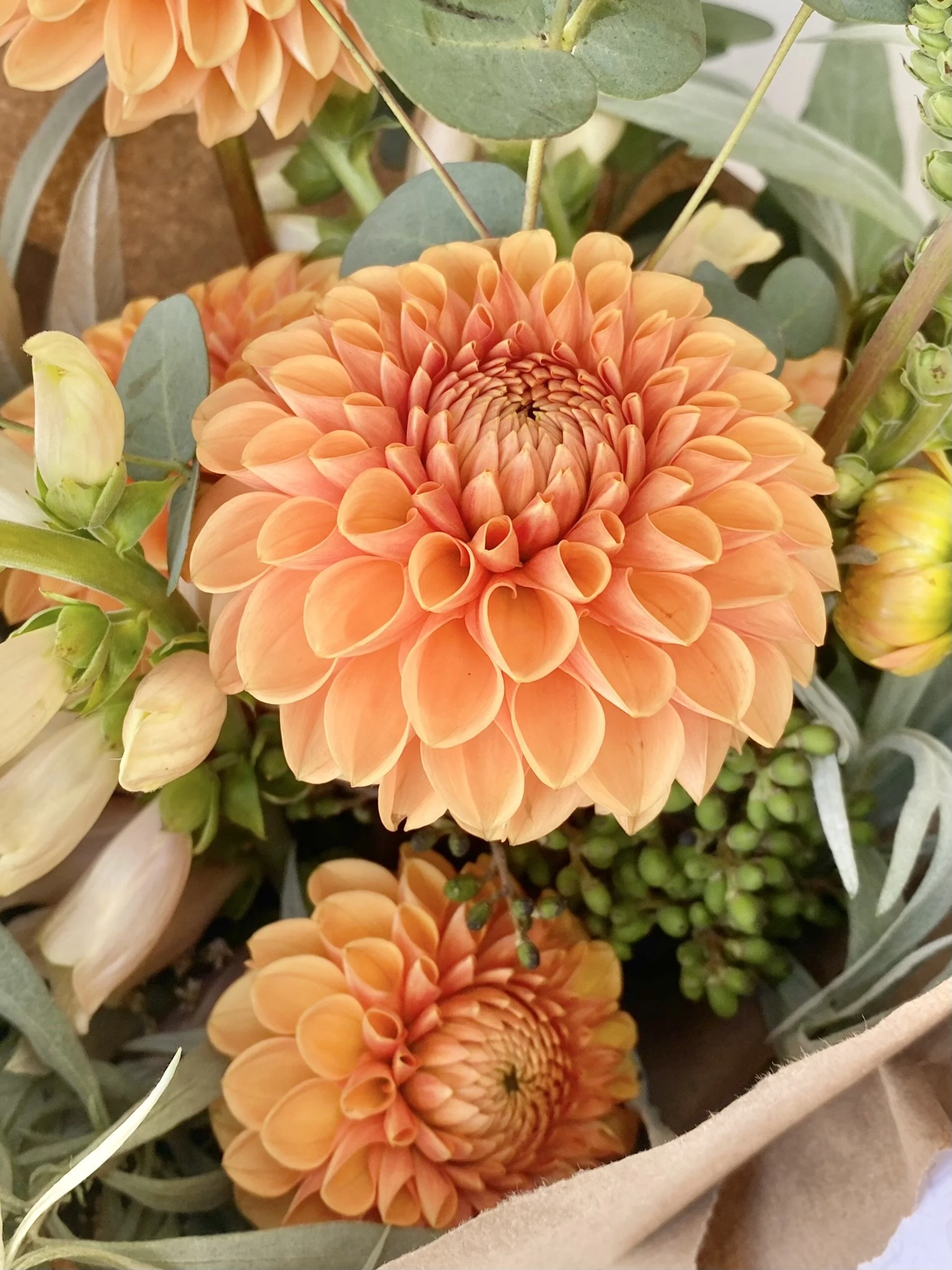 Bloom Floral