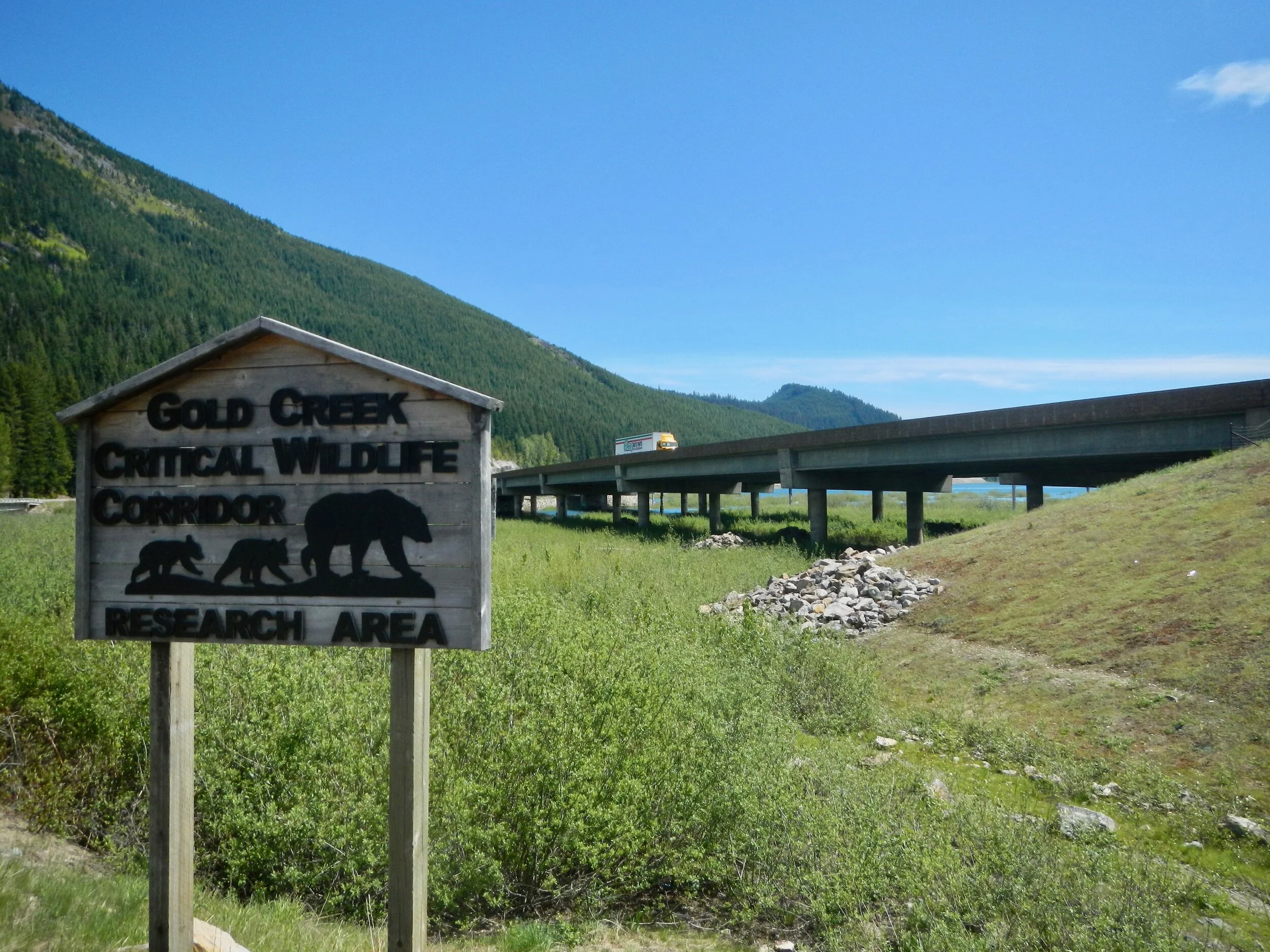 Reconnecting with Wildlife Crossing Structures — Paula MacKay