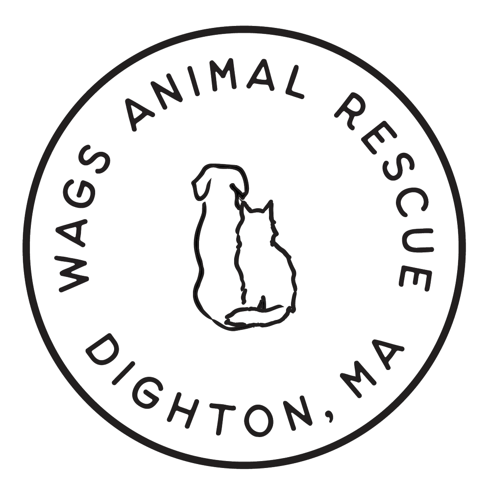 Wags Animal Rescue