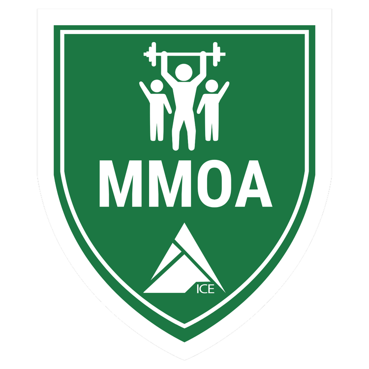 MMOA - Modern Management of the Older Adult