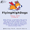 Flying High Dogs — Woods Memorial Library