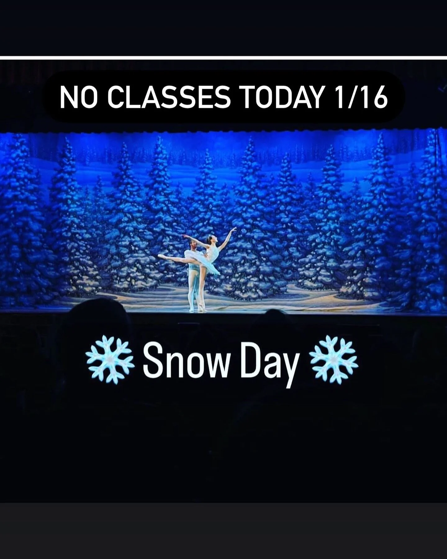 teachers — SOCIAL — Westport's Academy of Dance