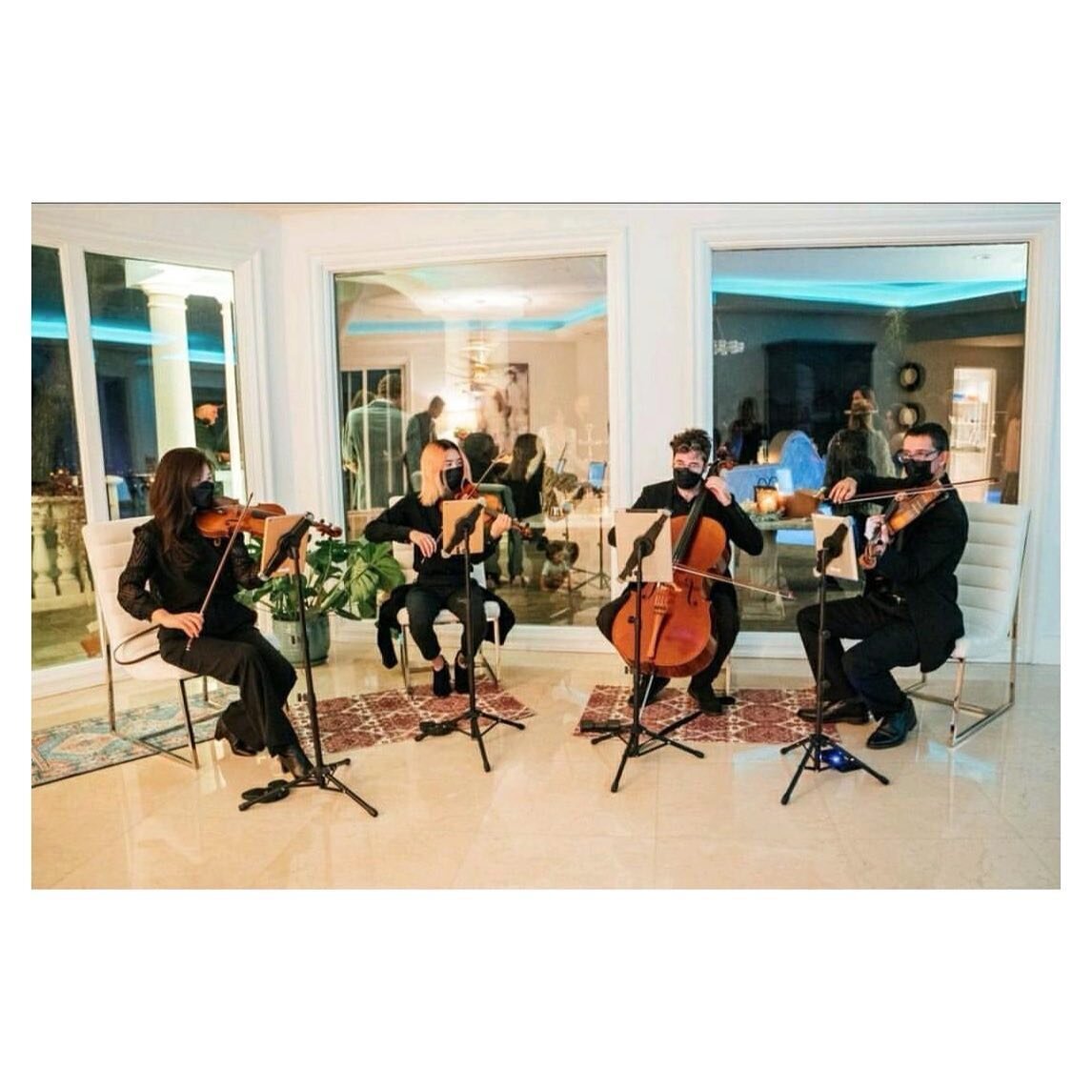 Cattus Quartet | Los Angeles String Quartet for Weddings and Events