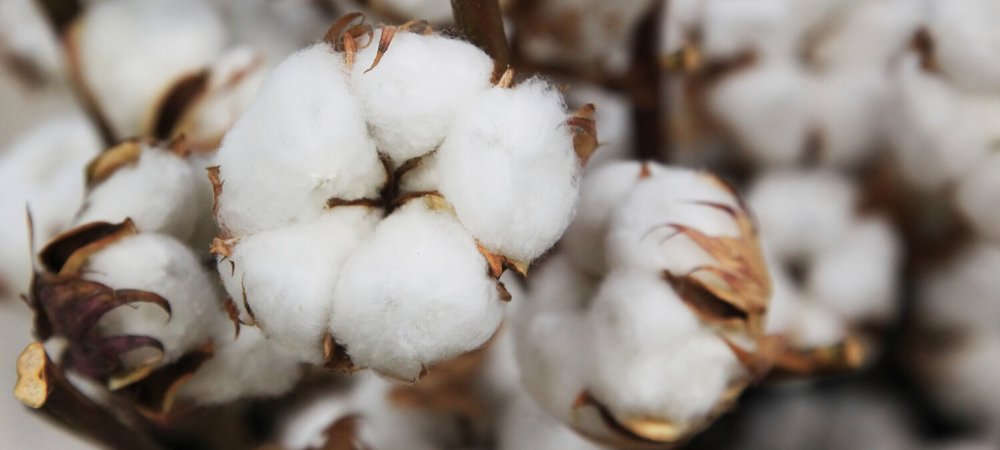 High Cotton Compost — Farmers Organic