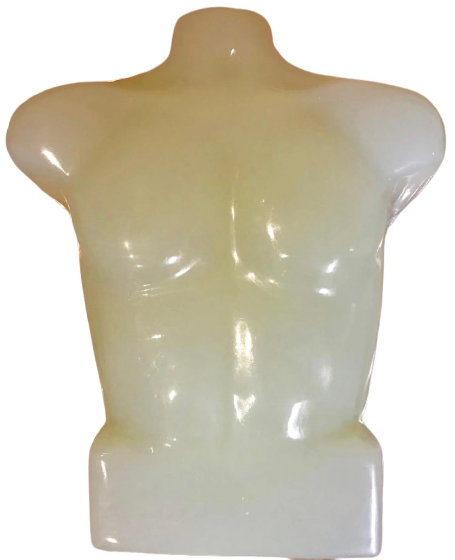 Products: Ballistic Gel | Ballistic Soap | Sims | Targets — Defensible ...