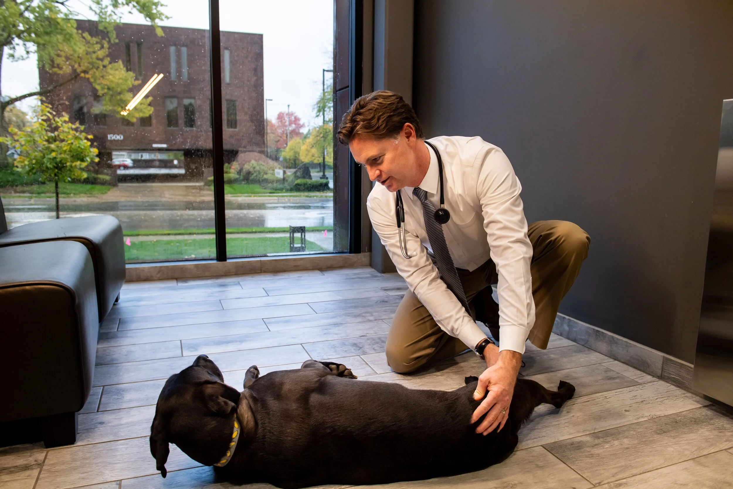 Upper Arlington Veterinary Hospital