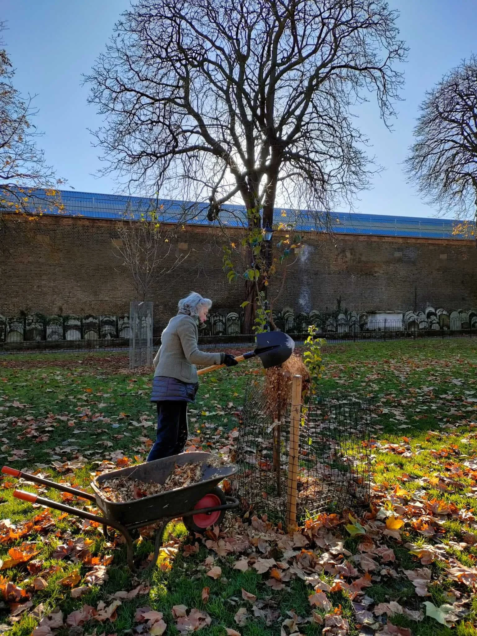 Tree Musketeers Events — Tree Musketeers