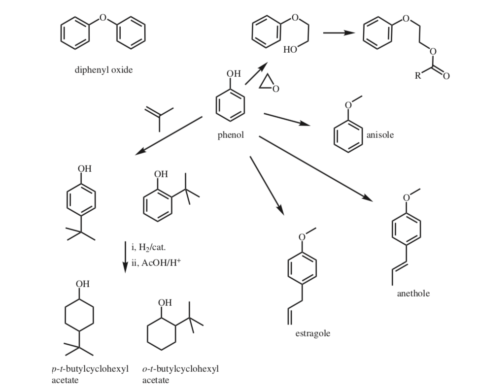 The smell of specific chemical group - Blog — Scentspiracy