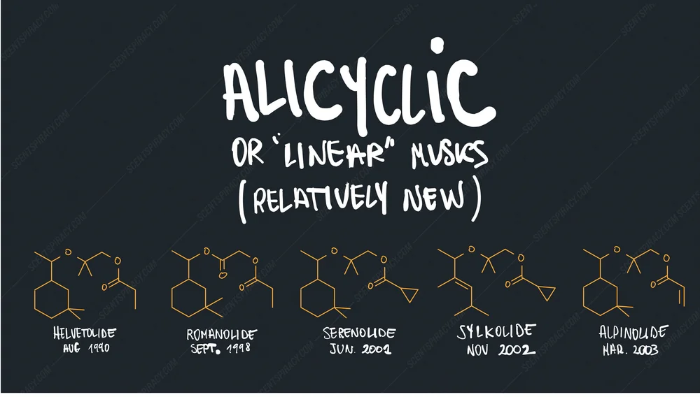 The Musks, an insight - Blog — Scentspiracy