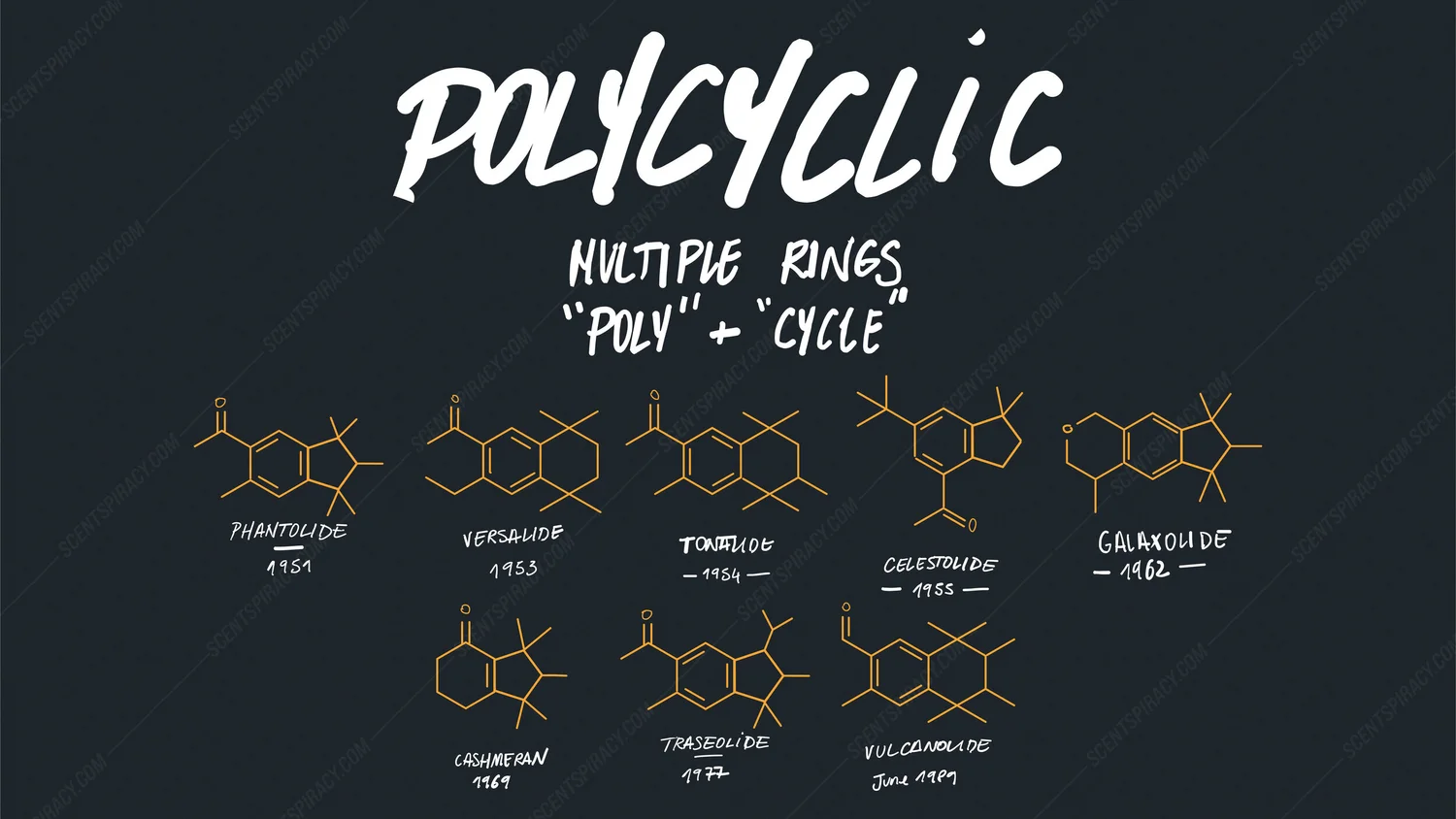 The Musks, an insight - Blog — Scentspiracy