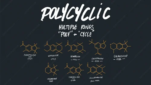 The Musks, an insight - Blog — Scentspiracy