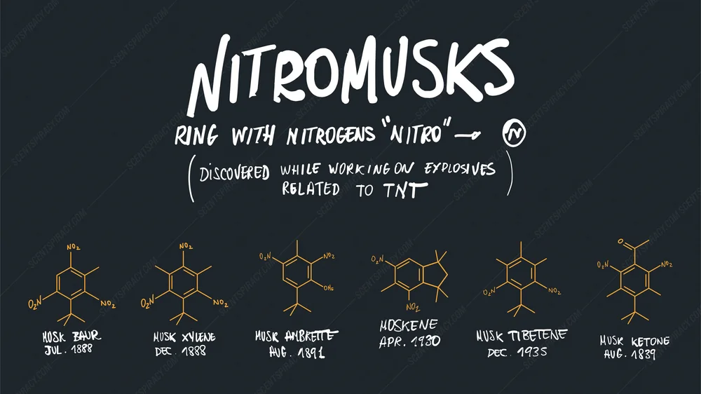 The Musks, an insight - Blog — Scentspiracy