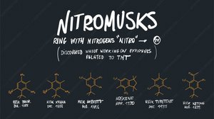 The Musks, an insight - Blog — Scentspiracy