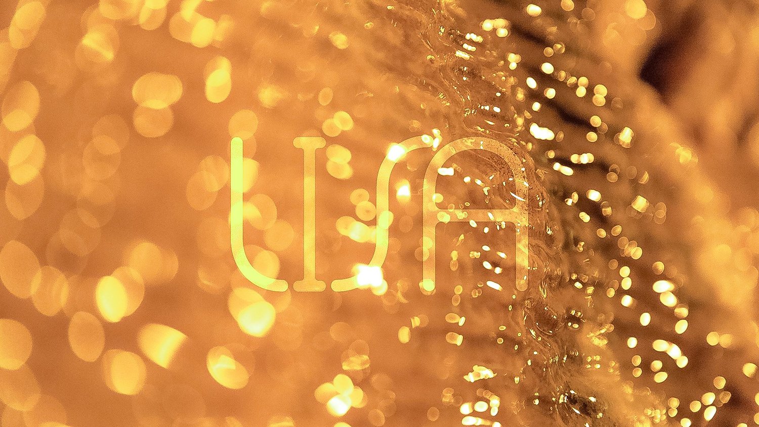 Lisa - Fine fragrance / Perfume / Deoambiente — Scentspiracy