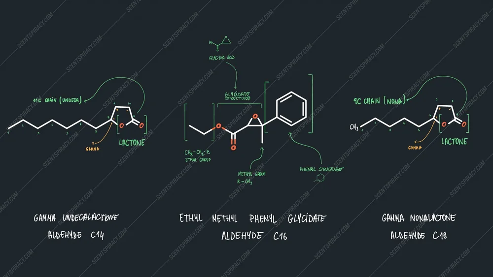 Aldehydes not Aldehydes - Blog — Scentspiracy