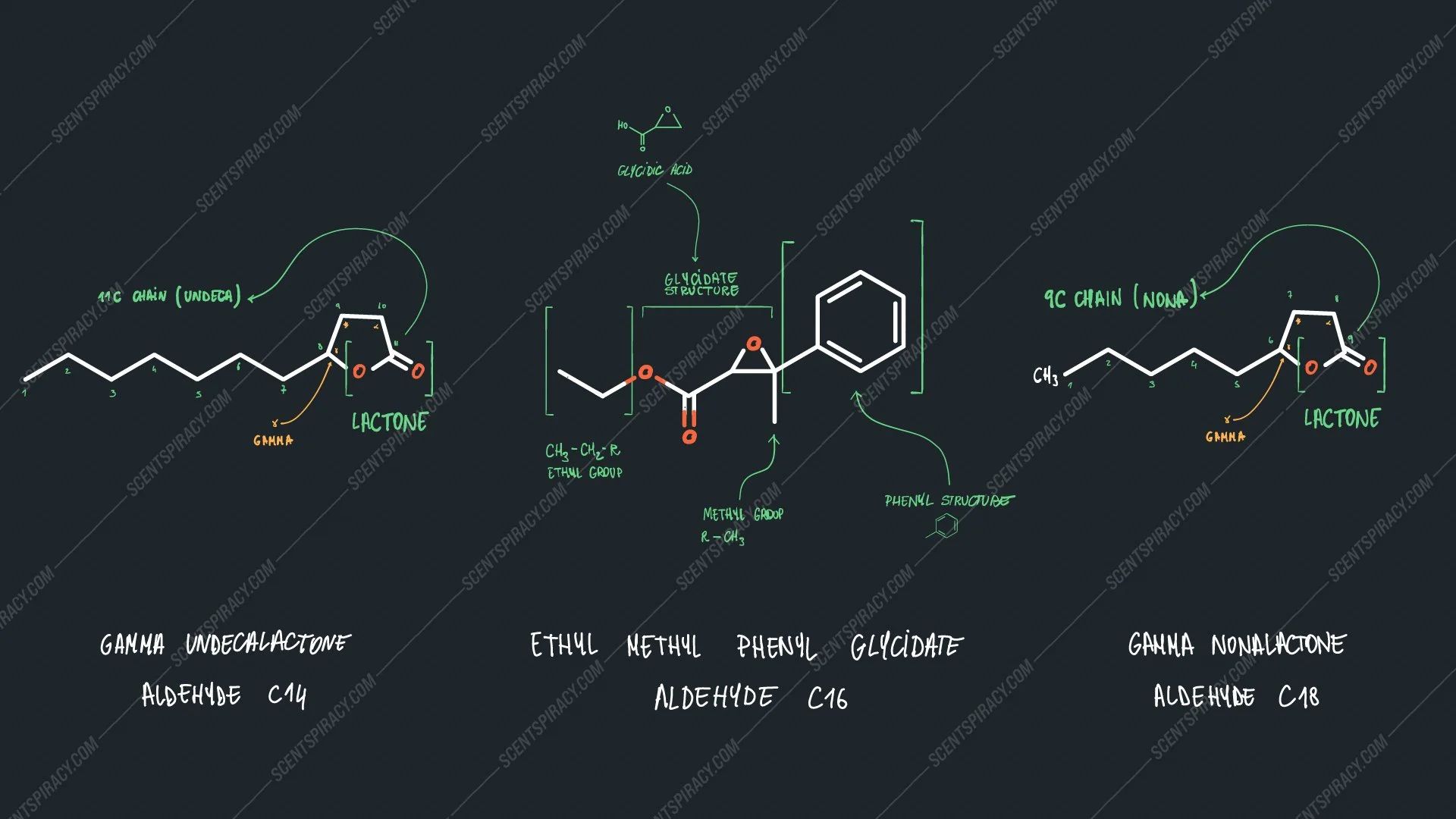 Aldehydes not Aldehydes - Blog — Scentspiracy