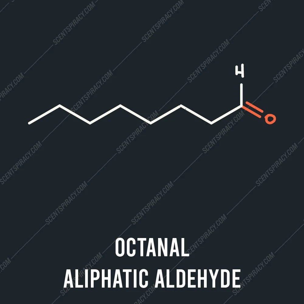 Aldehydes not Aldehydes - Blog — Scentspiracy