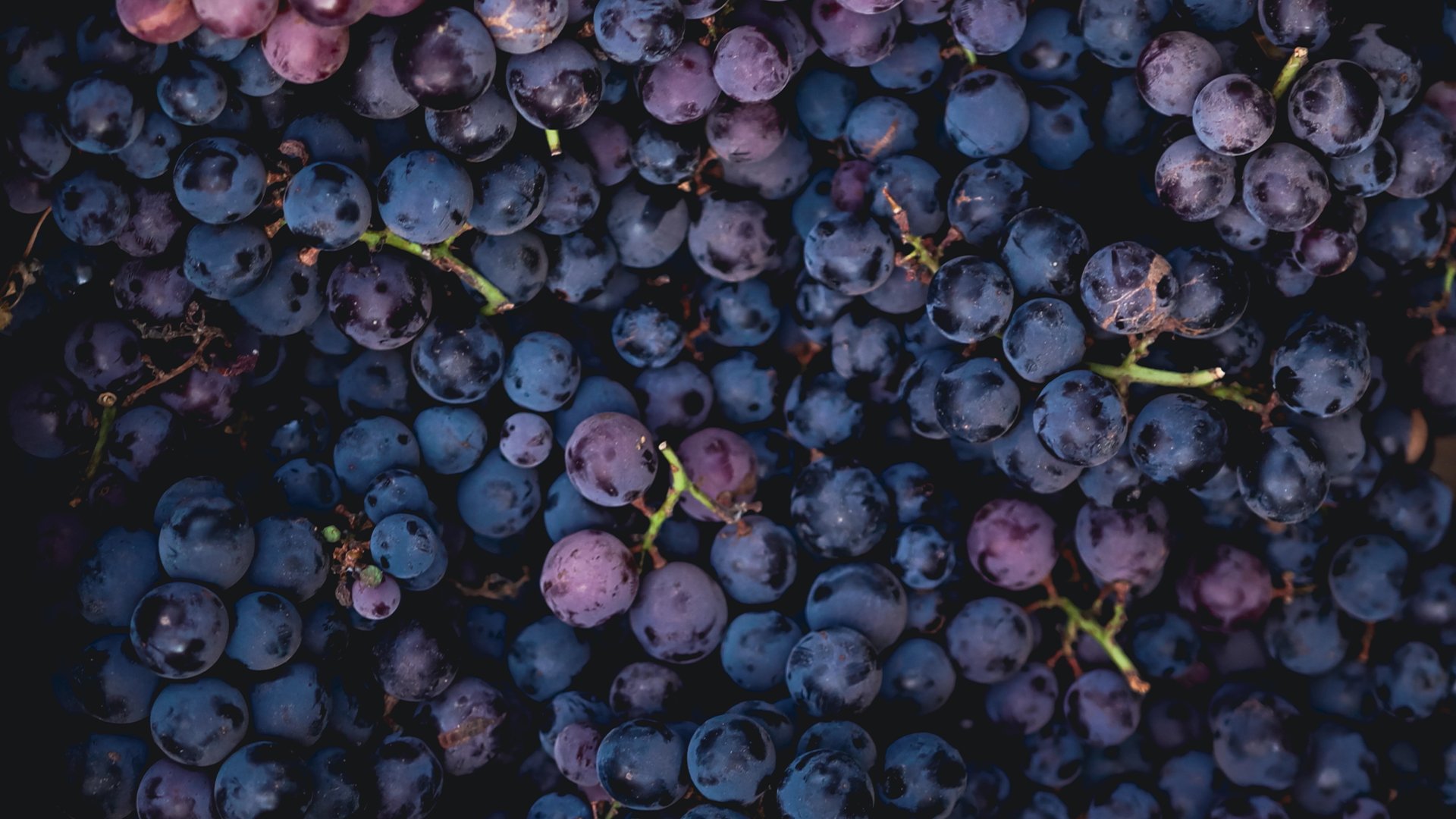 The Chemistry of Grape - Blog — Scentspiracy