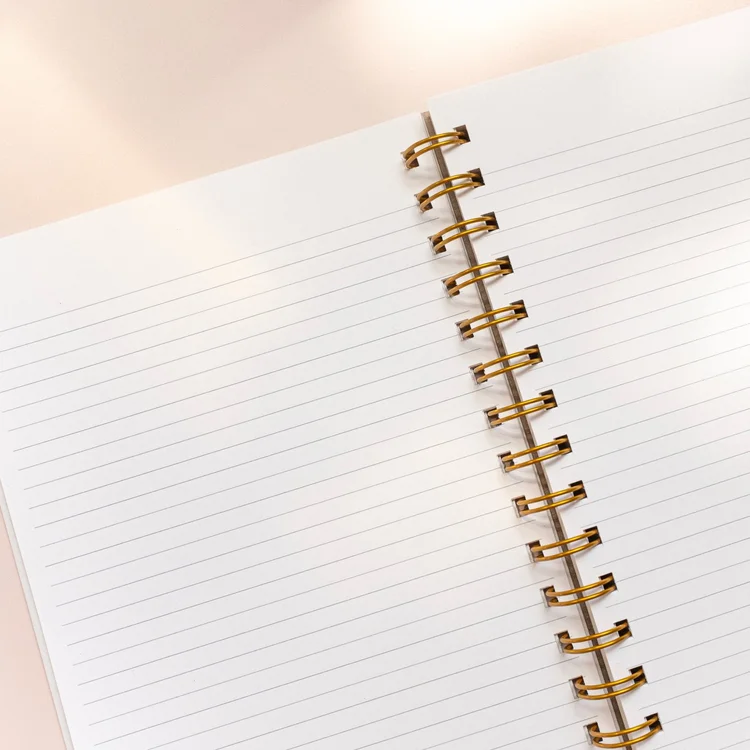 Willinglee — Shop All Gift Boxes