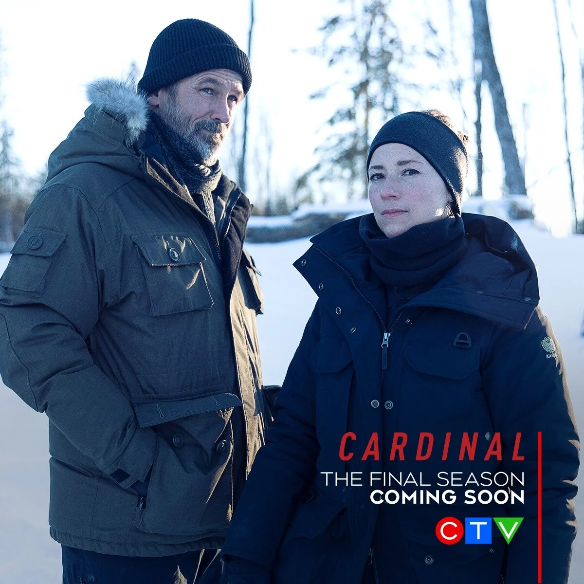 Cardinal: Until the Night — Bernadette Croft