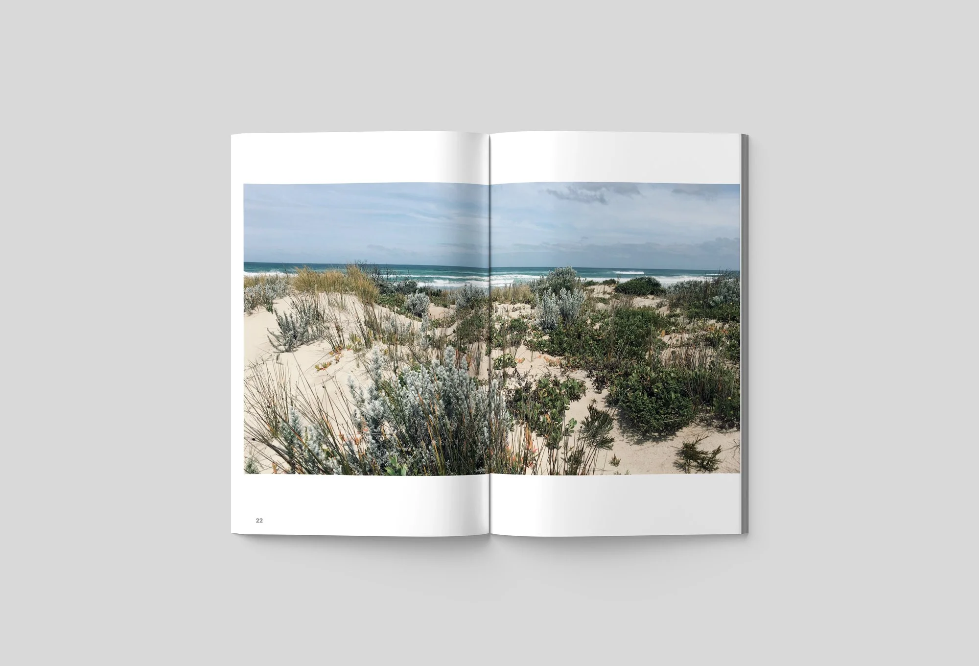 Nelson nature — Daniel Cordner Design