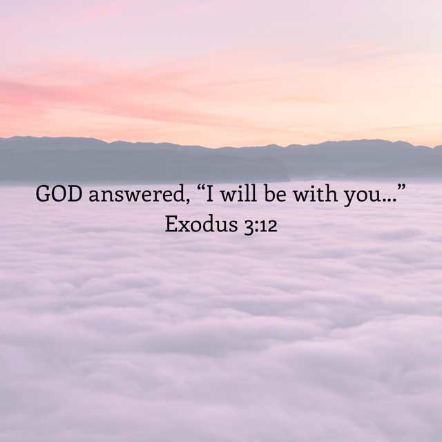 One Irrefutable Truth in the Midst of Trouble — Papa Shaun's Corner