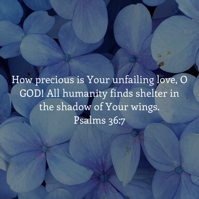 20 Scriptures That Reveal How Much GOD Loves You — Papa Shaun's Corner